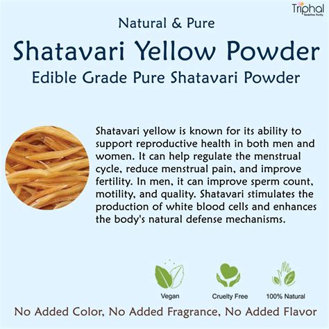 Buy Original And Pure Shatavari Yellow Powder Shatawar Churn Triphal
