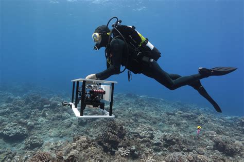 Watch 3d Photogrammetry Maps Of Coral Reefs Reef Builders The Reef And Saltwater Aquarium Blog