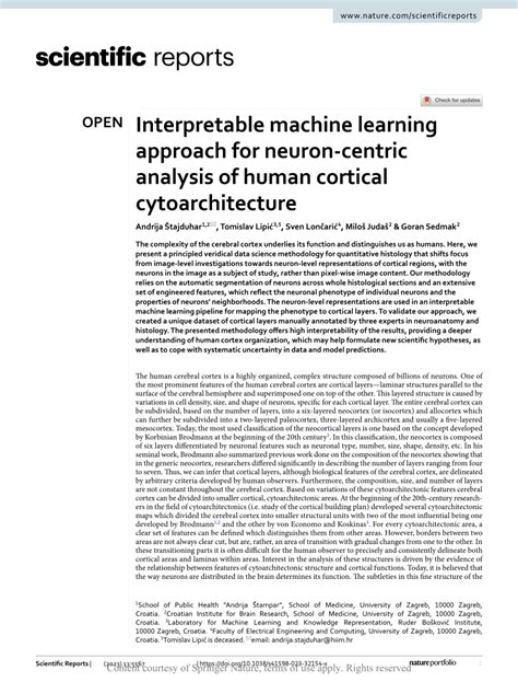 Pdf Interpretable Machine Learning Approach For Neuron Centric Analysis Of Human Cortical
