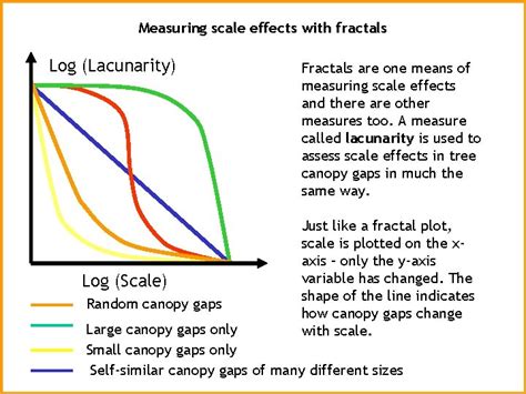 Measuring Scale Effects With Fractals River Network 1