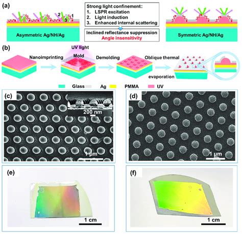 Schematic Illustration Of A Asymmetric Agnhag And Symmetric Download Scientific Diagram