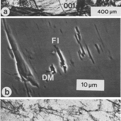 A Oscillatory And Sector Zoned Pyroxene See Sketch In Fig 4 For Download Scientific Diagram