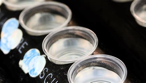 Understanding Accelerated Bioassay Testing Requirements Under A Npdes