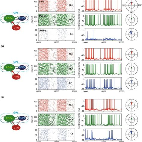 Structure Of Stn‐gpe Network Model A Stn‐gpe Network Model The