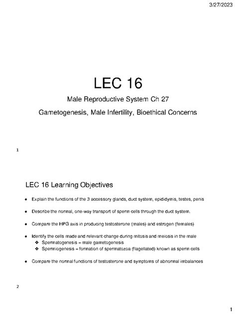 LEC 16 Male Reprod System 2 Slides Per Page LEC 16 Male Reproductive System Ch 27