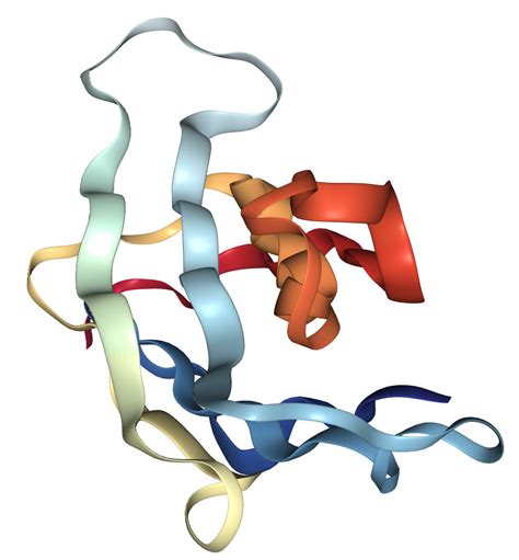 Fibronectin 基本信息 Sino Biological