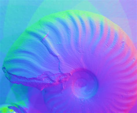 An Easy To Build Reflectance Transformation Imaging Rti System Just Published Rit