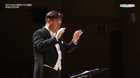 별빛을 쫓는 고양이 Youtube