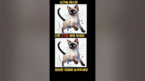뇌기능 테스트치매예방 24103 Youtube