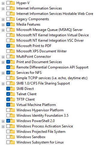 Virtualized AMD V RVI Is Not Supported On This Platform AGAIN VMware Workstation