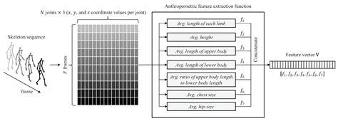 Human Skeleton Data Augmentation For Person Identification Over Deep Neural Network