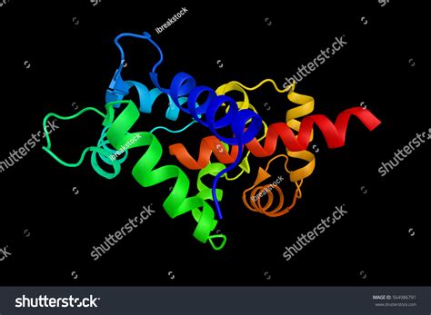 Calmodulin2 Over 1 Royalty Free Licensable Stock Illustrations