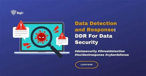 Data Detection And Response Ddr For Data Security Bigid