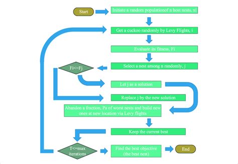 process flow structure of the cso algorithm download scientific diagram