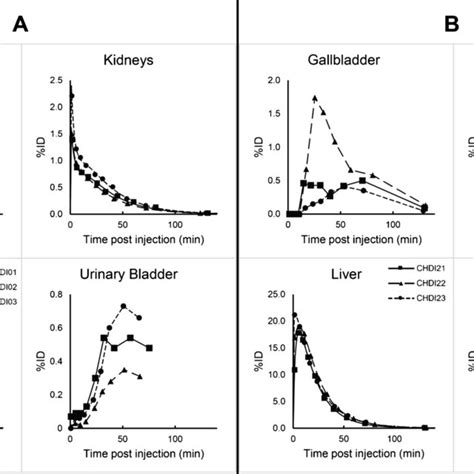 Time Activity Curves In Different Target Organs Mean Fractional Download Scientific Diagram