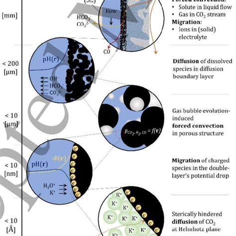 Illustration Of The Multi Scale Transport Phenomena Inside The Cathode Download Scientific