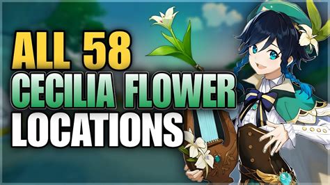 All 58 Cecilia Flower Locations Efficient Farming Route Venti