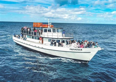 Book San Diego Whale Watching Cruise