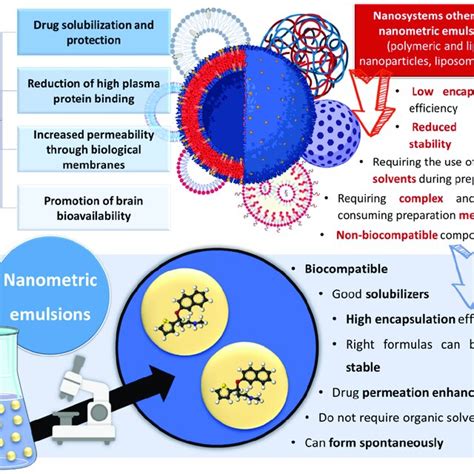 Advantages And Disadvantages Of Drug Encapsulation Into Nanosystems