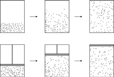 Autonomous Vs Nonautonomous Dynamics Top Autonomous Evolution Of A Download Scientific
