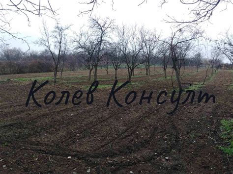 Продавам къща село Николово Едноетажна къща 120 кв м РЗП 2500 кв м двор Къщи Вили Ни