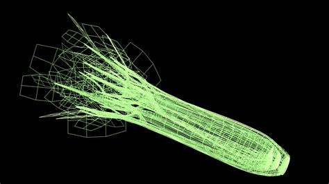 3d Celery Model Turbosquid 1944254