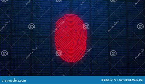 Image Of Network Of Connections With Biometric Fingerprint Human Brain