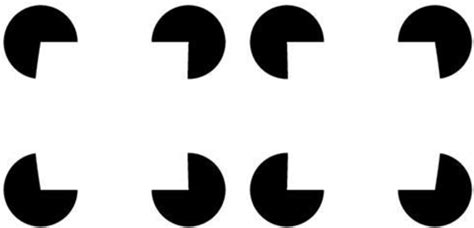 Figure 1 1 From Stereoscopic Surface Interpolation From Illusory Contours Semantic Scholar