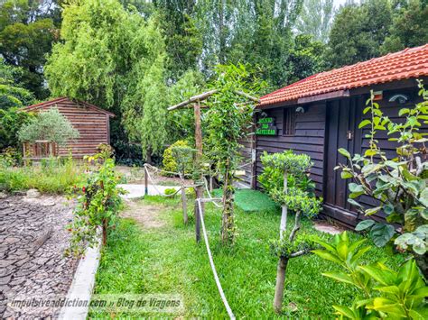 Best Things To Do In Mira Beach Portugal