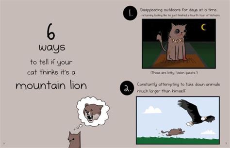 How To Tell If Your Cat Is Plotting To Kill You By The Oatmeal Matthew Inman Paperback