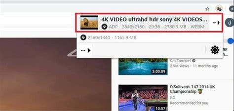 7 Best Video Downloader Chrome Extensions in 2024 [Free]