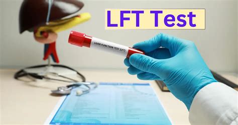 Liver Function Test Lft Importance And How Lft Works