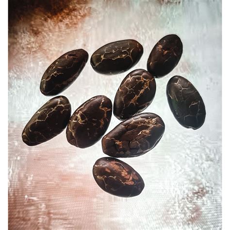 The Choco P โกโก้นิบส์ Cocoa Nibs เมล็ดโกโก้แท้ 100 ออร์แกนิก คั่ว หอม มีแบบเมล็ดและบด 250