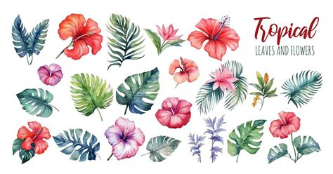 Hand Drawn Watercolor Tropical Plants Set Exotic Palm Leaves Jungle