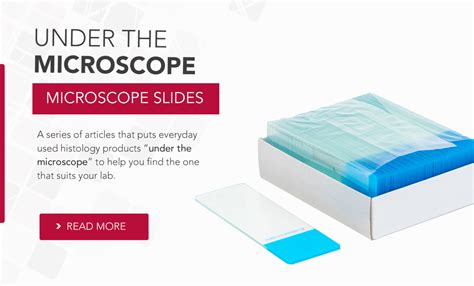 Under The Microscope Microscope Slides Solmedia