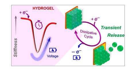 electrically powered dissipative hydrogel networks reveal transient
