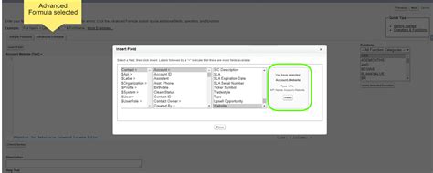 Highlight How To Reference The Website Field
