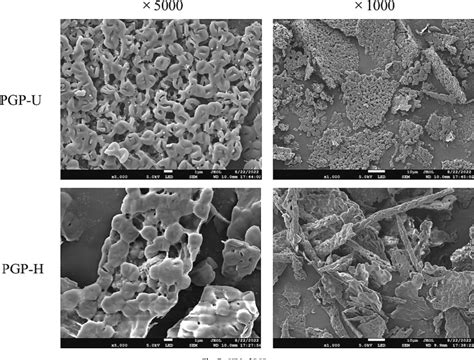 Figure 7 From Optimization Of Ultrasonic Assisted Extraction Of Platycodon Grandiflorum