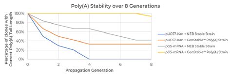 Mrna Applied Vector Genscript