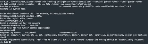 Devops Tales Installsetup Gitlab Gitlab Runners On Docker Windows