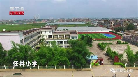 美丽校园（红塔区任井小学 红塔区东古城小学）