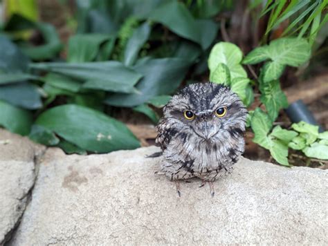 Cocr Company Blog 動画撮影、写真撮影から編集までを行います。