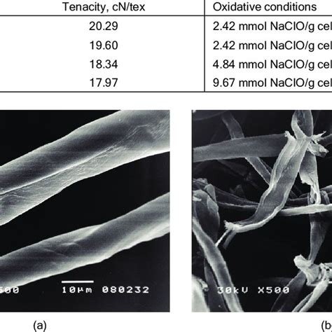 Scheme Of Tempo Mediated Oxidation Of Cellulose 8 Download