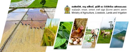 Development Sri Lanka ආර්ථික දුෂ්කරතාවලින් ගොඩයන්න කෙටිකාලීන සැලසුම්වල අවශ්‍යතාවය මෙරට තුළ