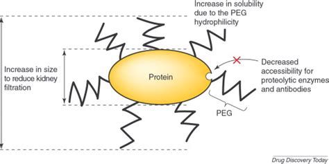 An Optimization Zwitterionic Lnp For Drug Delivery Profacgen