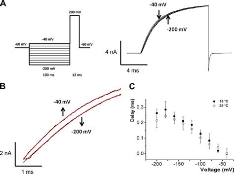 Kinetics Of Early Transitions Of The Activation Pathway A Macroscopic