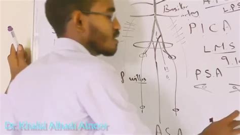Khalid Alhadi Alnoor Sallam On Linkedin Anatomy Education