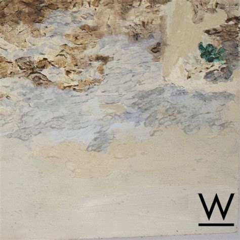 Anna Munk W Tram Réseau Art Contemporain Paris Île De France