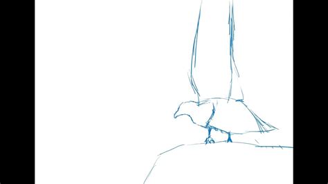 Bird Animation Must Watch Wip😱 😱 😱 😱 😱 Youtube