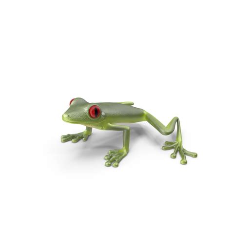 Realistic Green Tree Frog PNG Images PSDs For Download PixelSquid S123074595